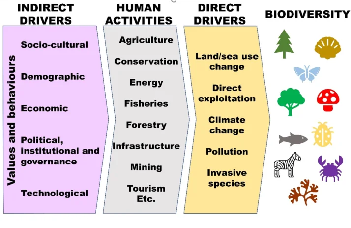 The nature crisis will persist unless we tackle it with urgency : Royal Society of Edinburgh